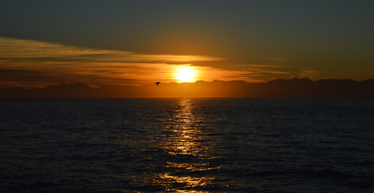 APRA warns of false dawn on IDII profitability - Financial Newswire